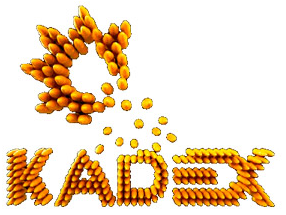 KADEX 2026 - Events - BoothSquare